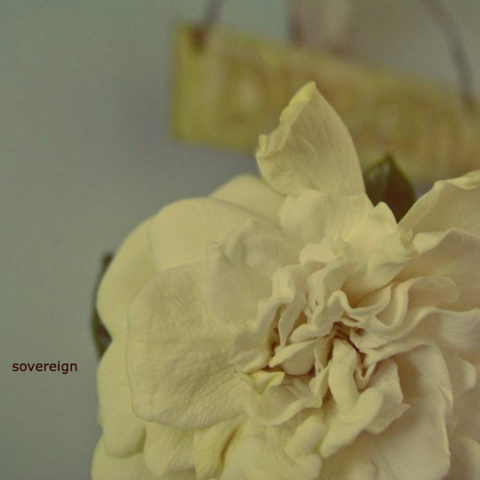 sovereign | Jennifer Leonhardt