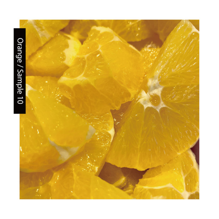 Orange / Sample 10 | nagase