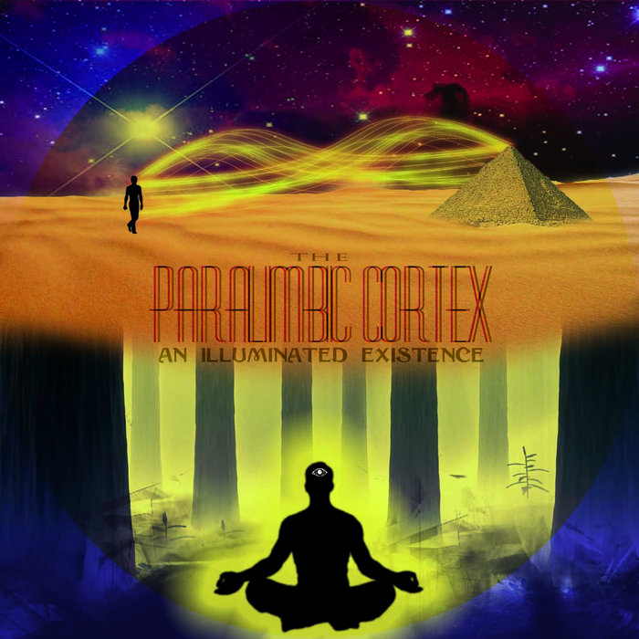 An Illuminated Existence | The Paralimbic Cortex