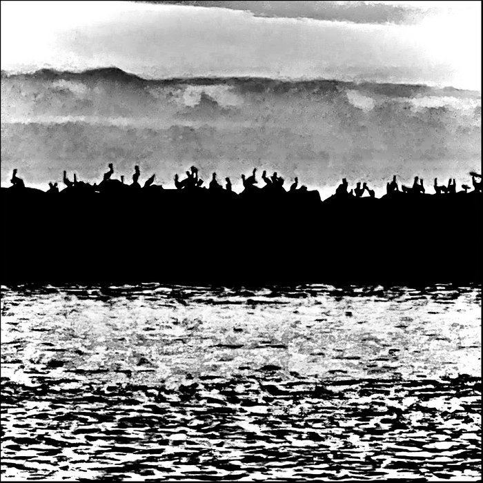 2 Rivers | THE HIGH WIRE