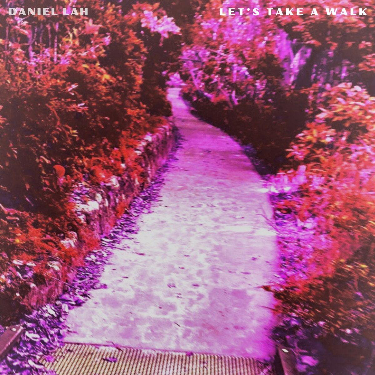 Let's Take A Walk | Daniel Lah