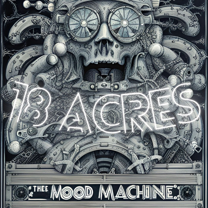 Mood Machine | 18 Acres