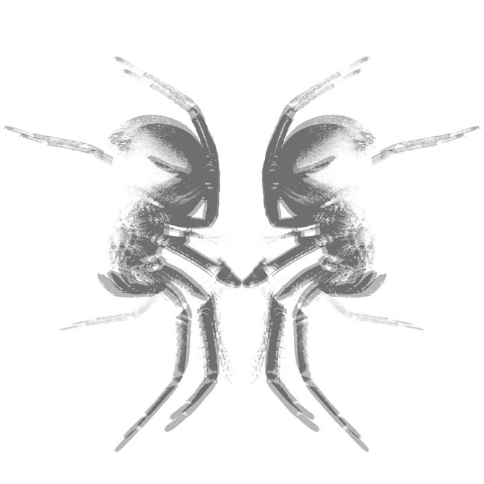 Obtenebration & Labefaction | Fault Worship