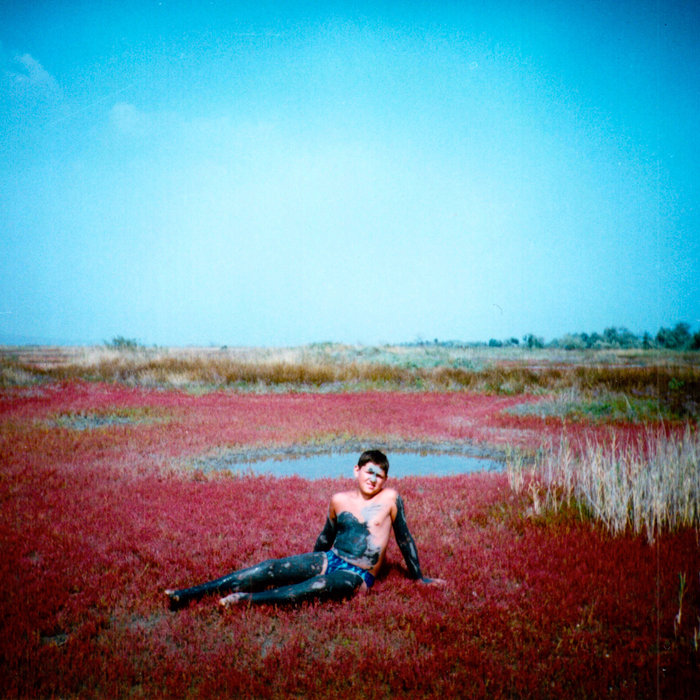 Hidden Tapes | Cedar Face | Chase Lambert