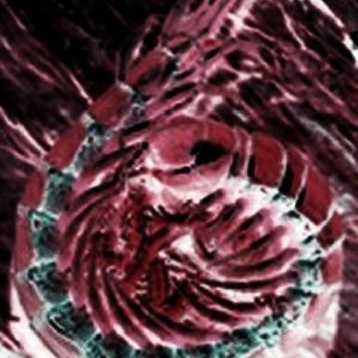 total death (one) | centipede