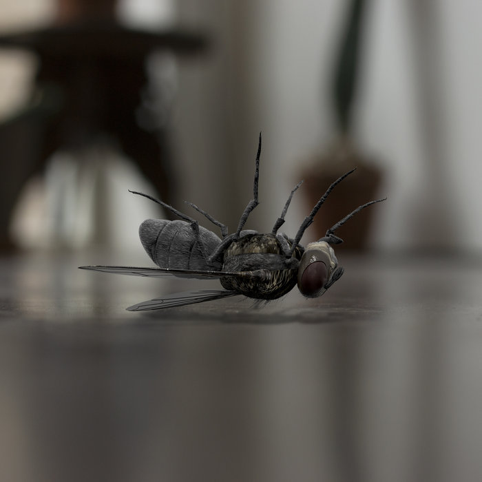 one1one | Fracture | Jack Jelfs | Haroon Mirza feat. Jess Barter ...