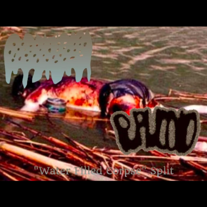 Myeloma / Puruloid Split | Puruloid, Myeloma | Puruloid