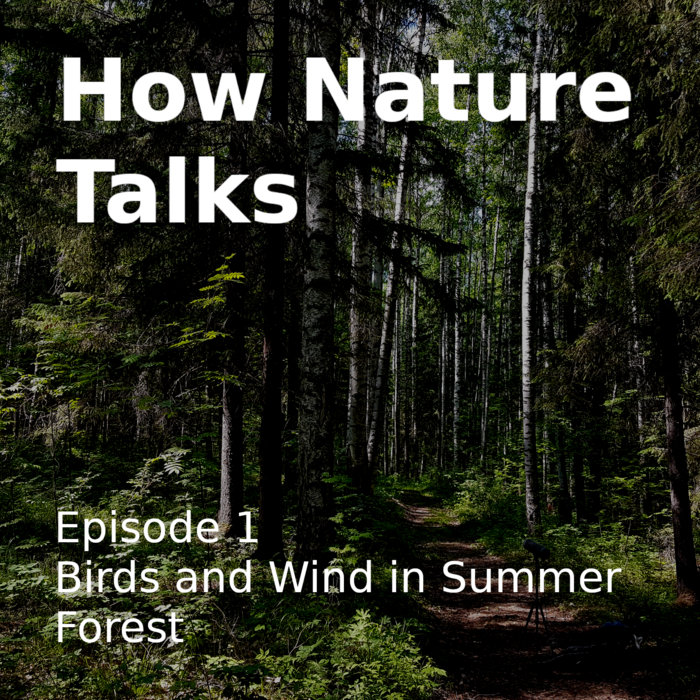 How Nature Talks - Episode 1 - Birds and Wind in Summer Forest | How ...