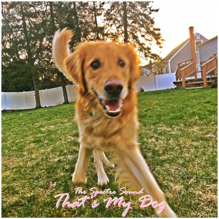 That's My Dog | The Spectre Sound | The Wellwishers' Union