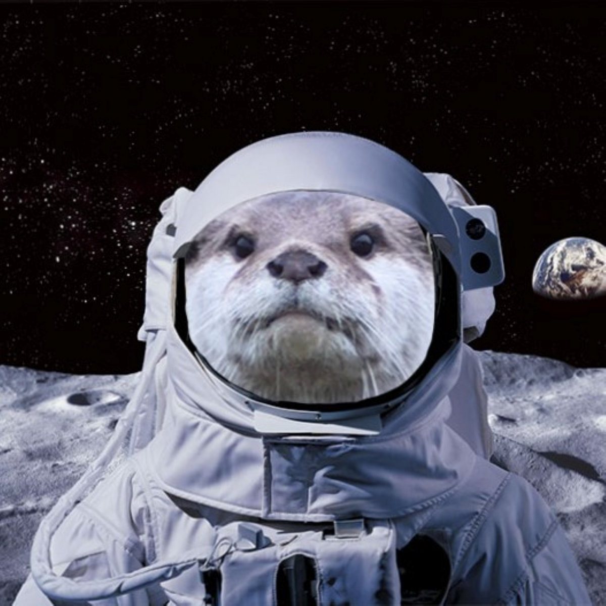 Cerebral Quantum Intersections | Space Otter