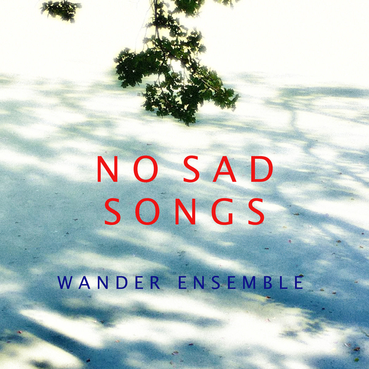 No Sad Songs | Wander Ensemble
