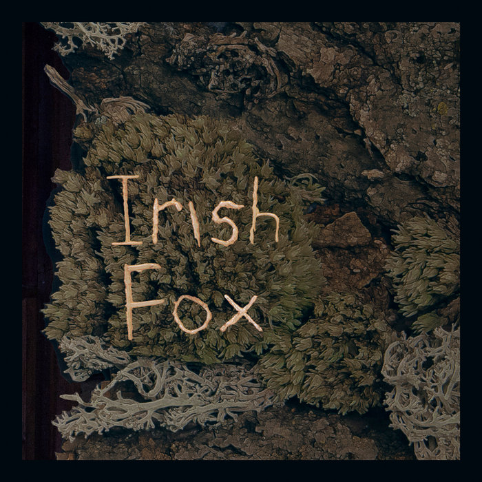 Irish Fox | Northern Ranger