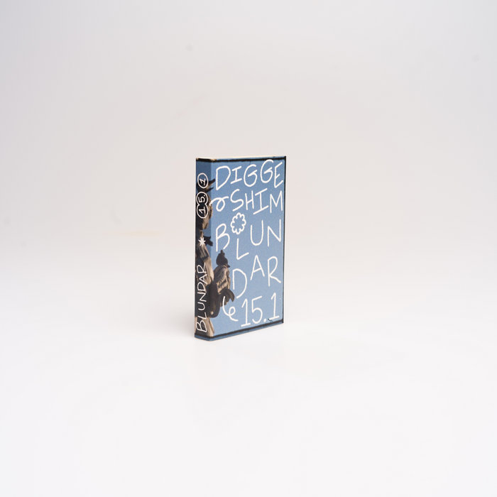 BLUNDAR15.1 | Digge Shim | blundar