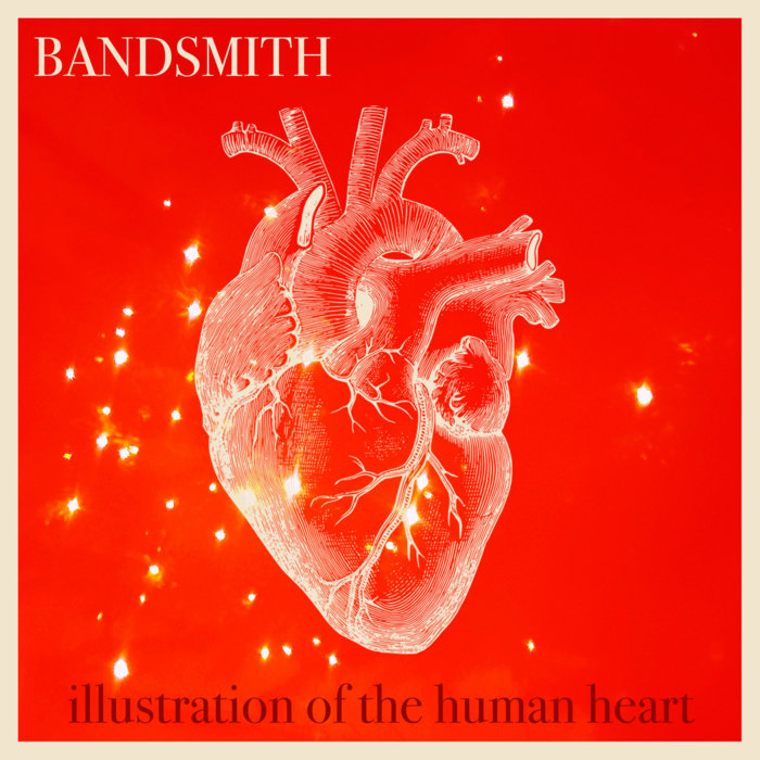 Illustration of the Human Heart | Bandsmith