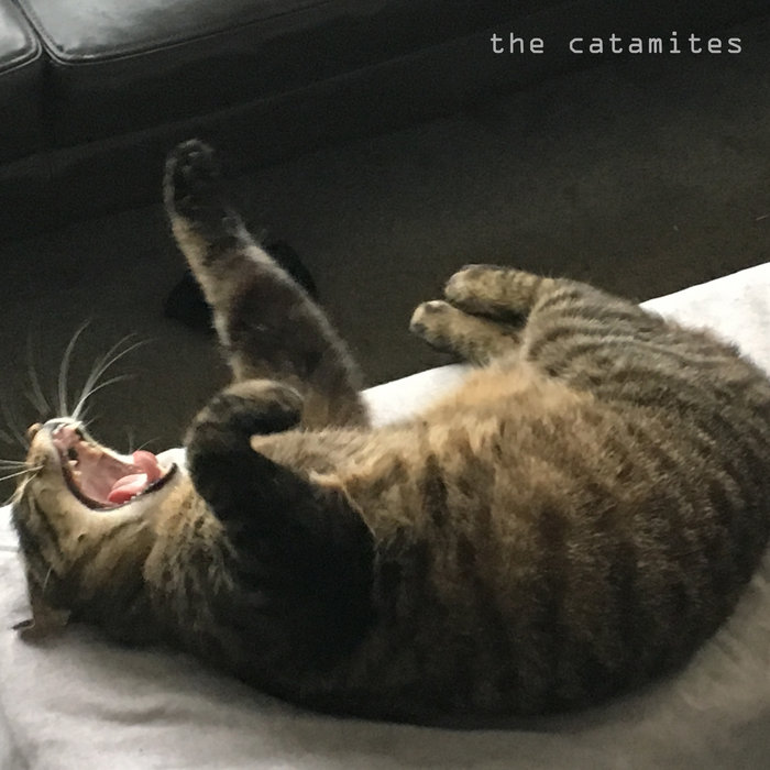 The Catamites | The Catamites