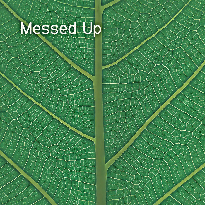 Messed Up | Wendy Adelman