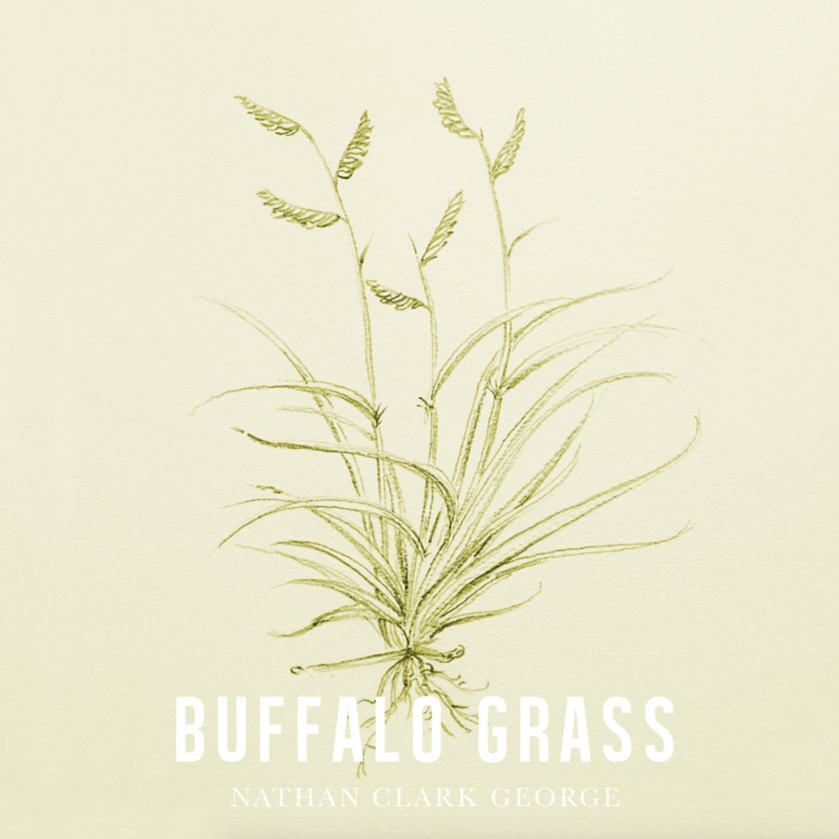 Buffalo Grass (partial release) | Nathan Clark George