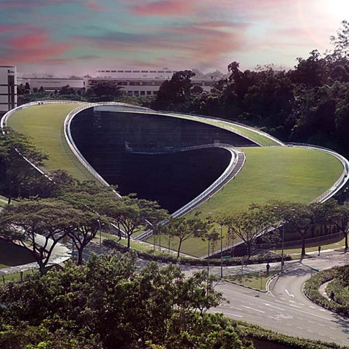 Surveying the Landscape of Life's Choices | The Android Bishop