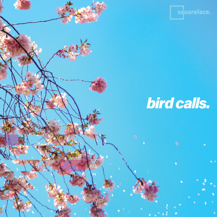 Bird Calls | Squareface
