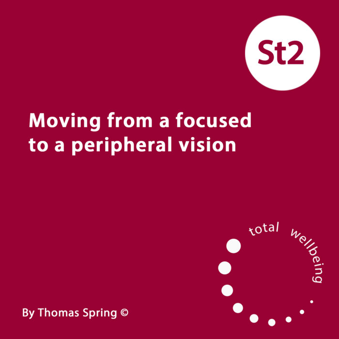 St2 Moving from a focused to a peripheral vision | Thomas Spring ...