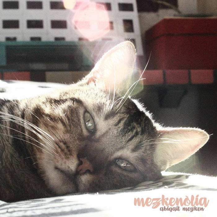 Mezkenòlia 14-18 | Abigail Mezken