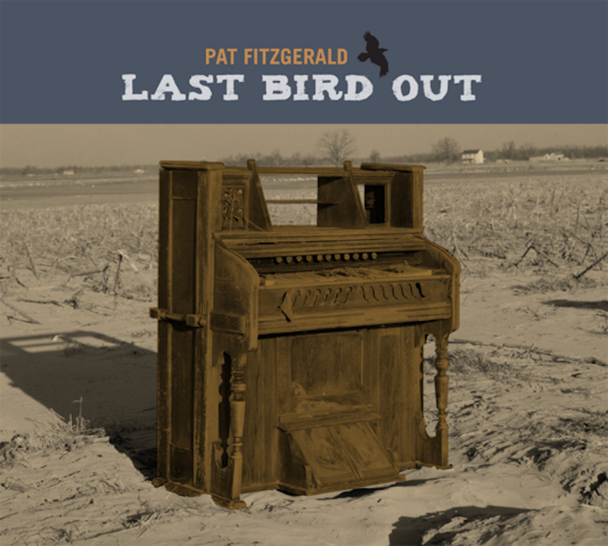 Last Bird Out | Pat Fitzgerald
