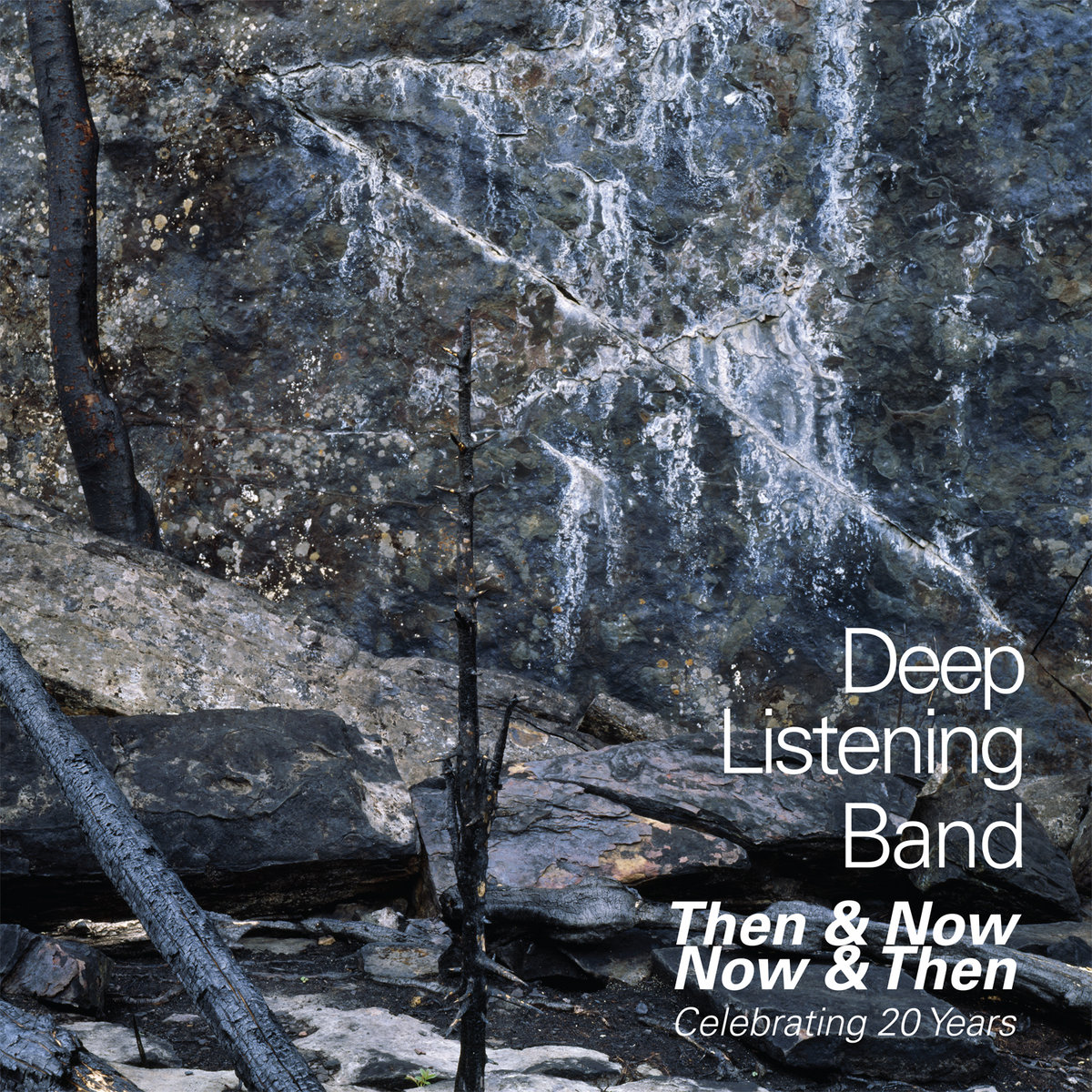 Then & Now Now & Then: Celebrating 20 Years | Deep Listening Band ...