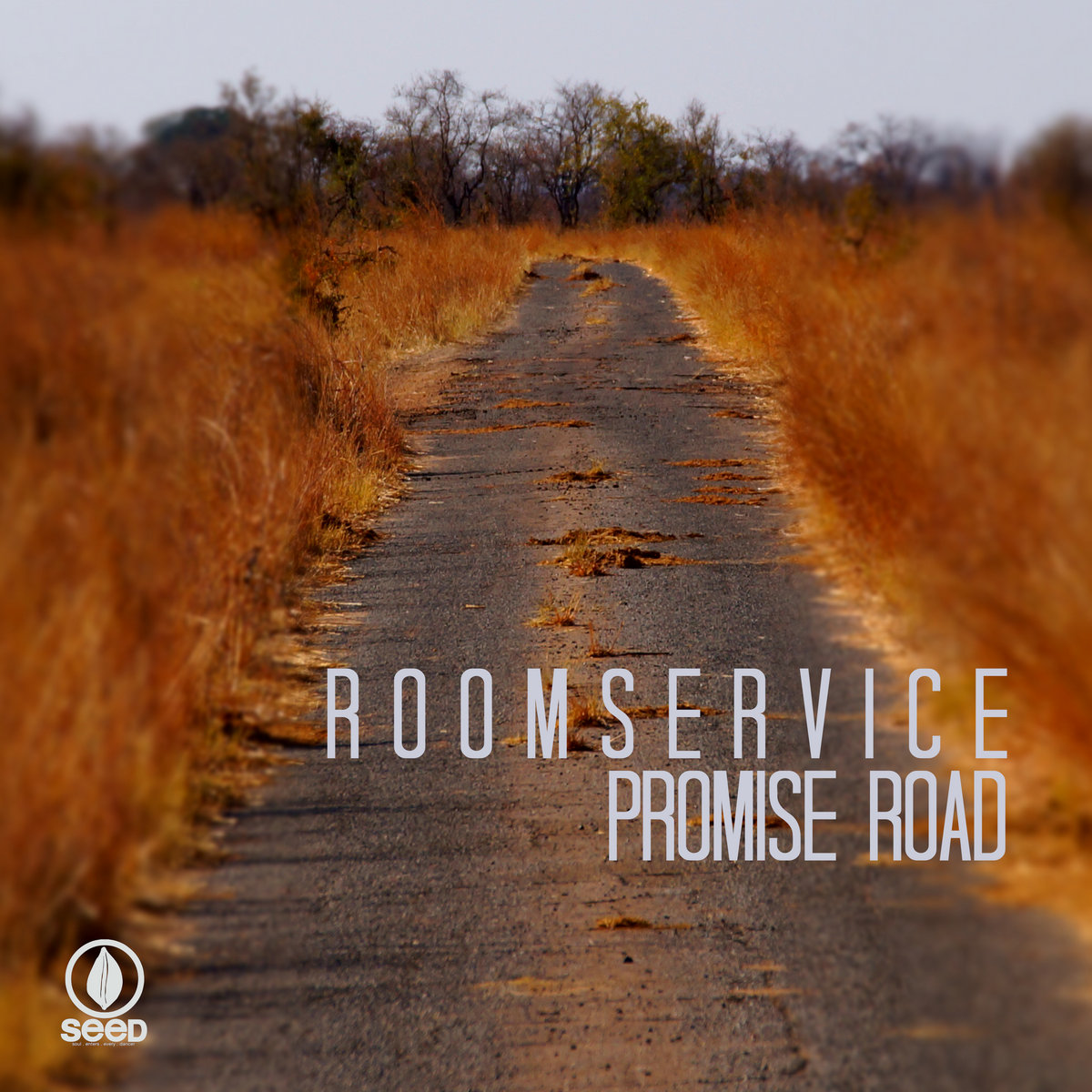 Promise Road | Room Service | Seed Recordings