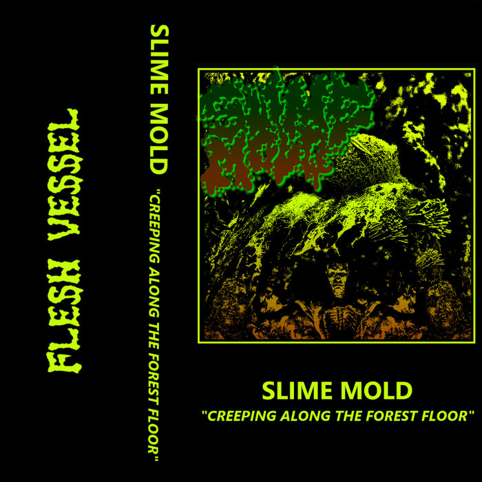 Creeping Along the Forest Floor | SLIME MOLD | FLESH VESSEL