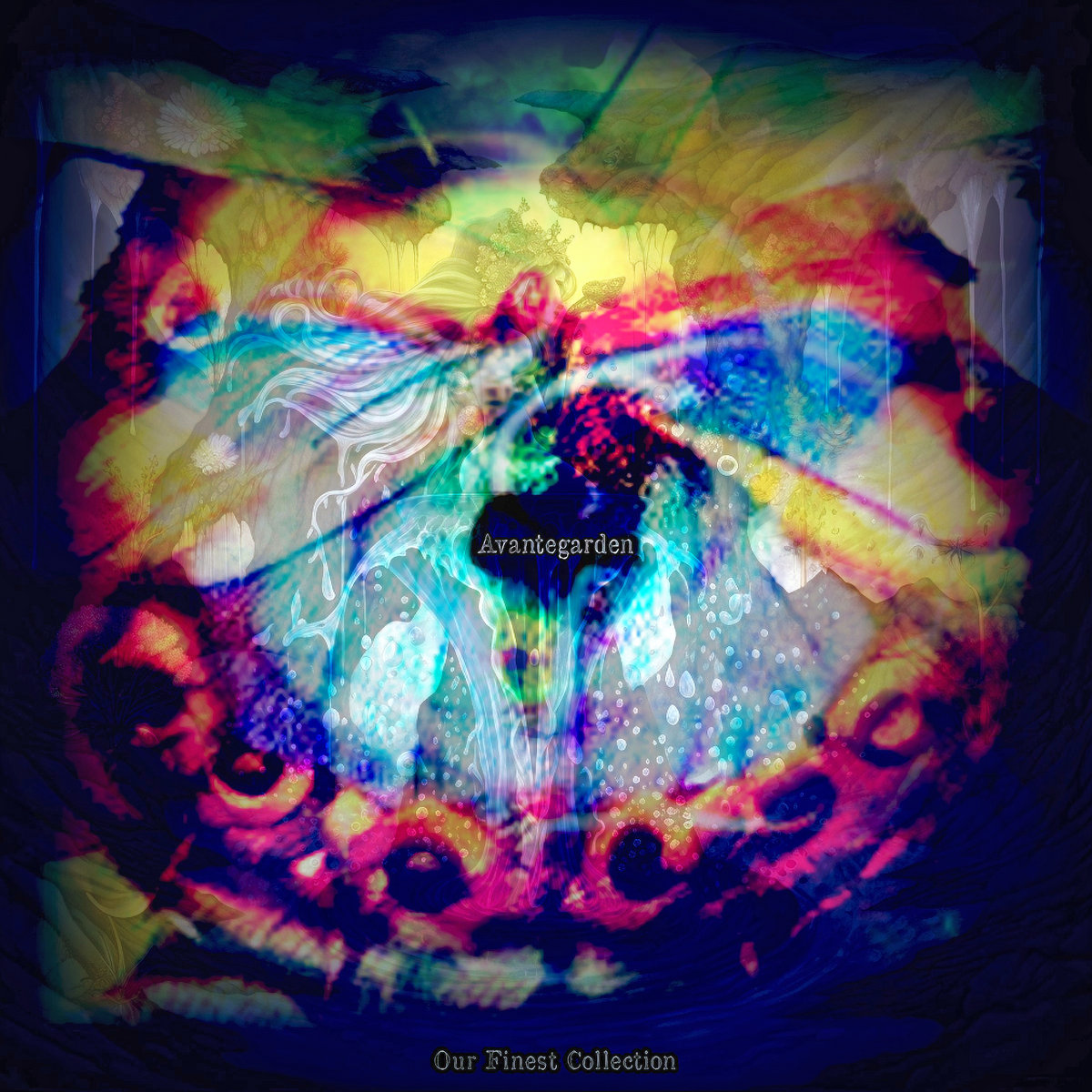 Our Finest Collection | Avantegarden