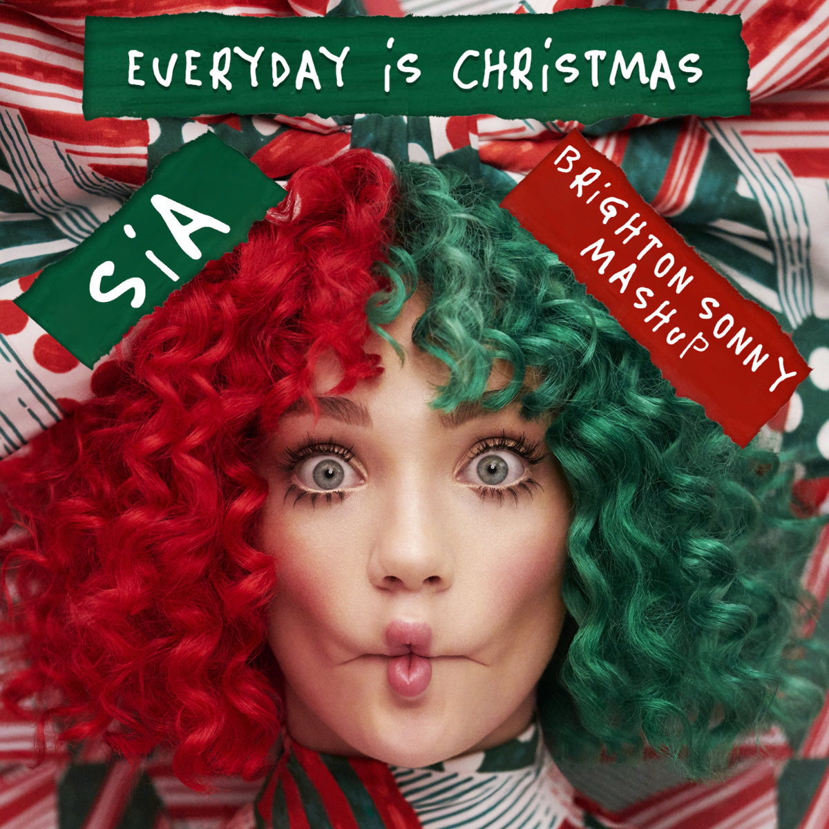 Every Sia Is Christmas | Sia and friends! | Brighton Sonny