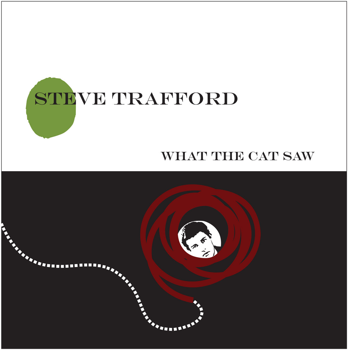 What The Cat Saw | Steve Trafford