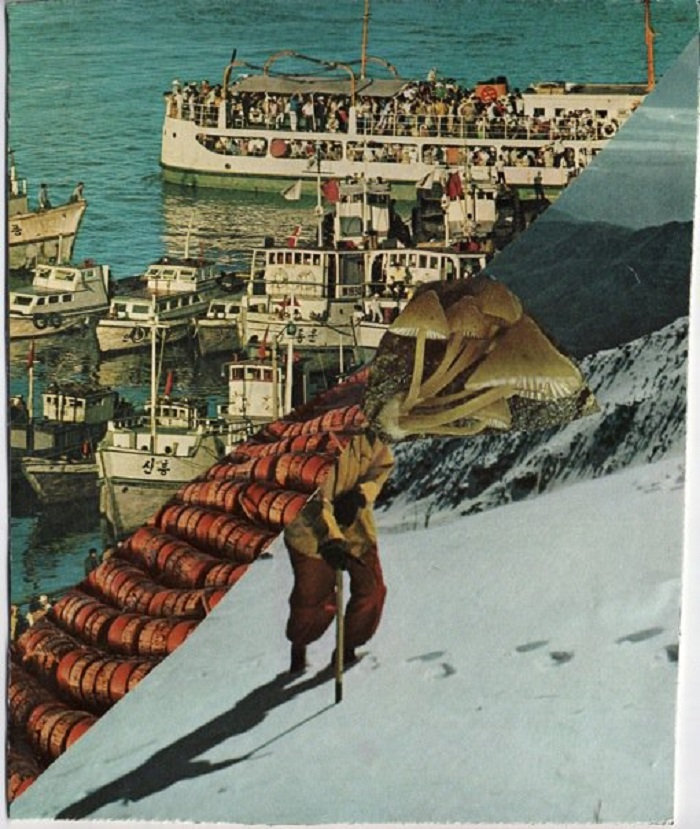 Frozen Skull | Sunken Landscapes