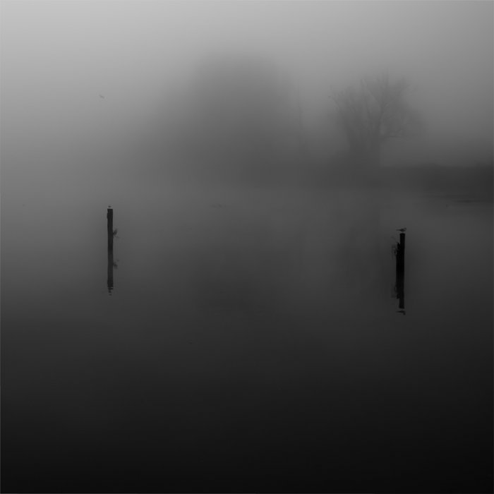 Western Songs | Nathan Amundson | Rivulets