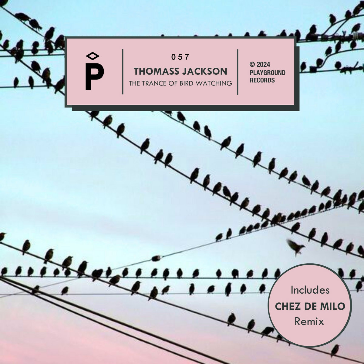 The Trance Of Bird Watching (Inc. Chez de Milo remix) | Thomass Jackson