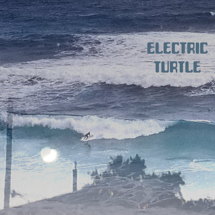 electric turtle | electric turtle