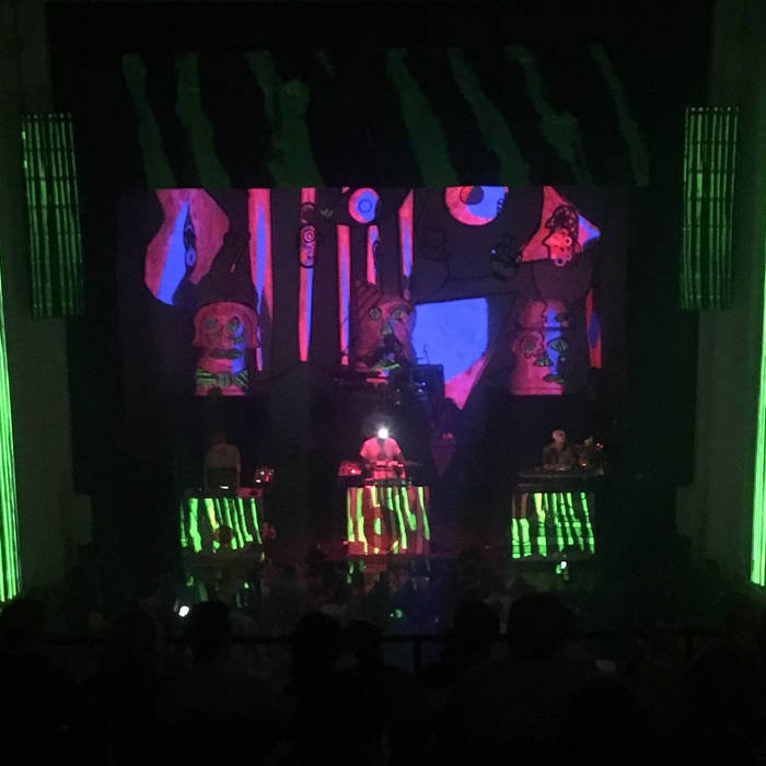 Animal Collective Live