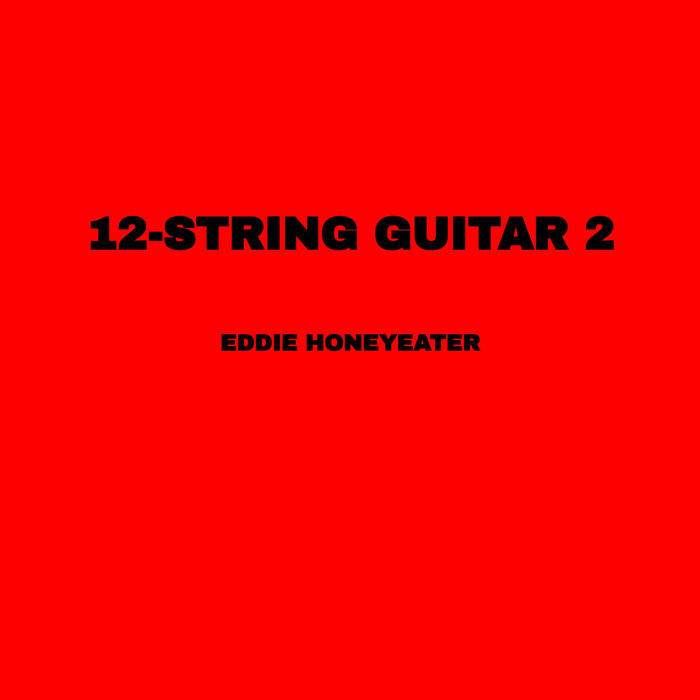 12-String Guitar 2 | Eddie Honeyeater