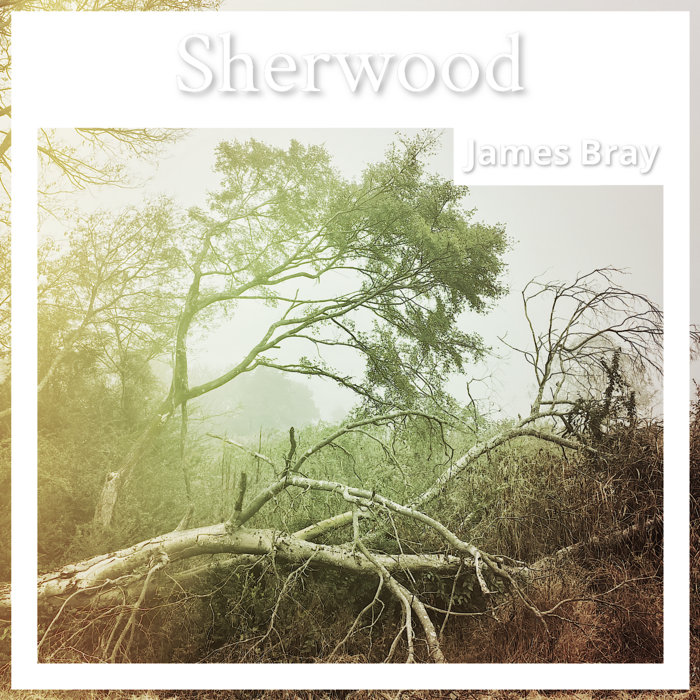 Sherwood | James Bray