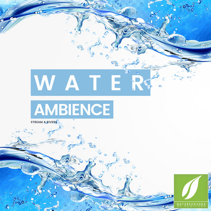 Calm Water Ambience | Nature sounds Of Scotland