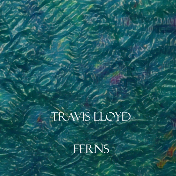 Ferns | Travis Lloyd