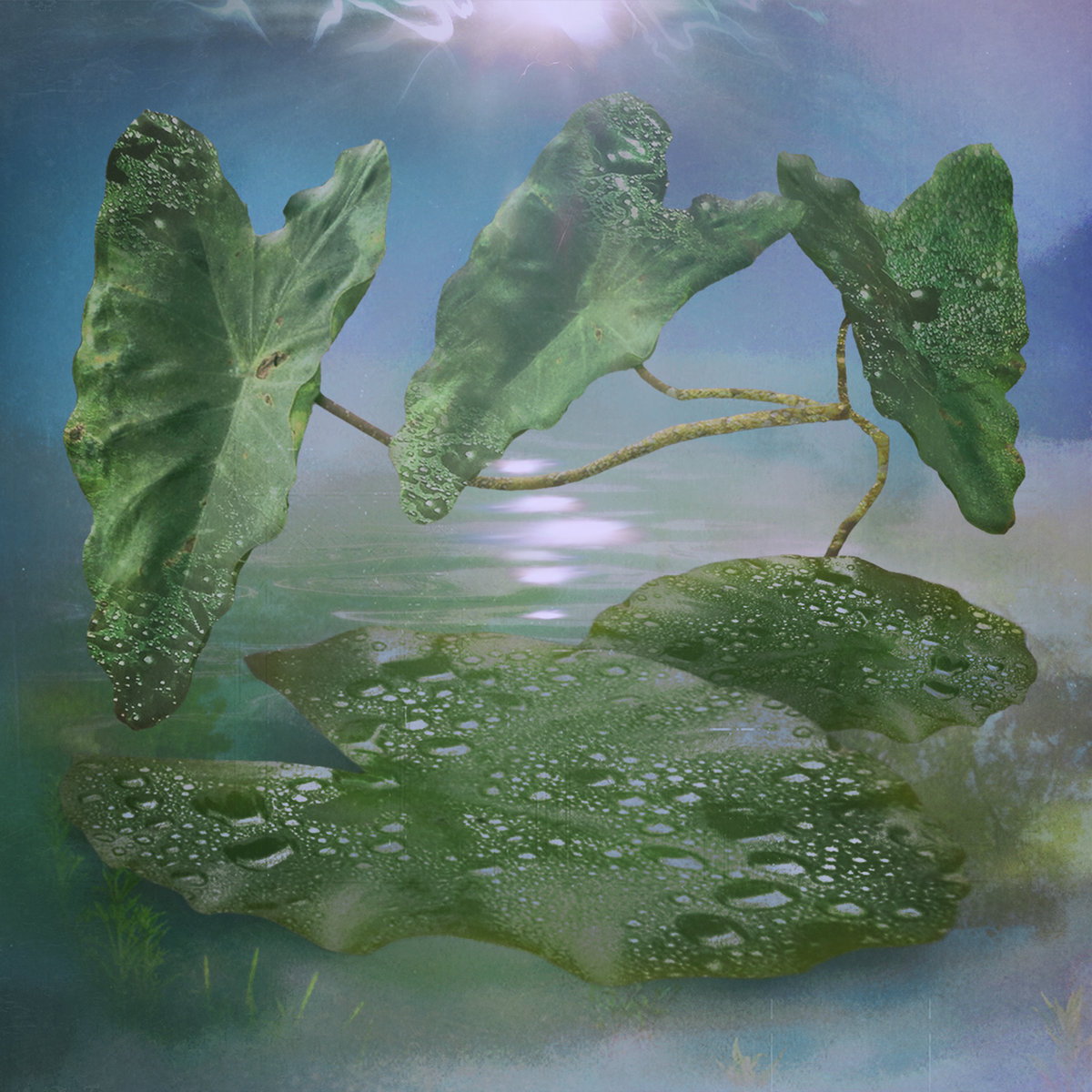 Dream River 2000 | VA | Henry Earnest