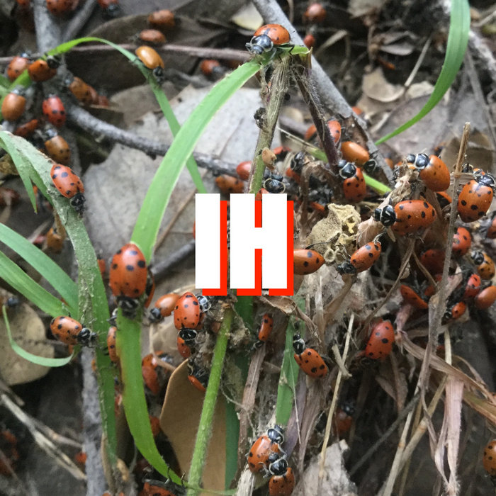 For One Thing | Introducing Hagleton