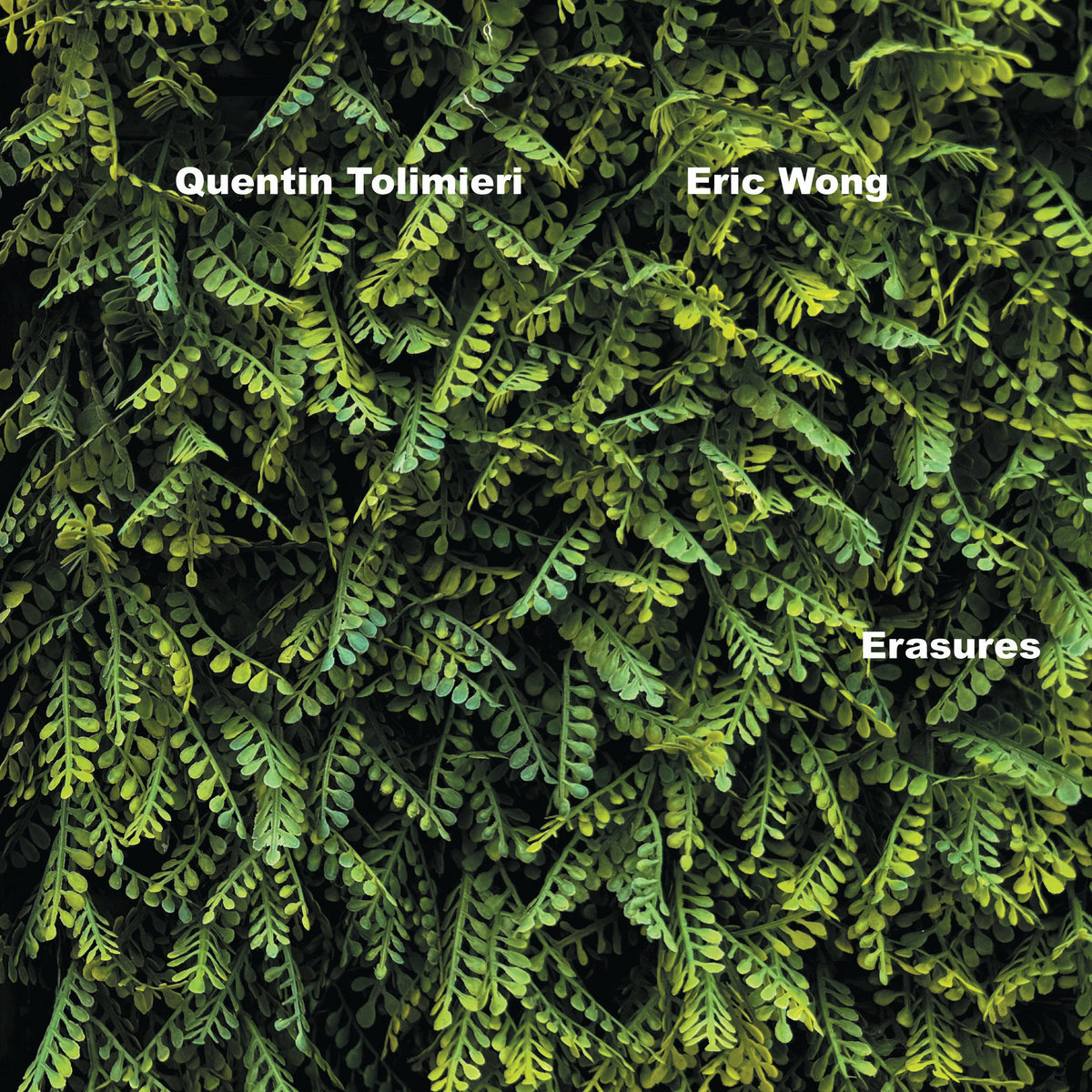Erasures | Quentin Tolimieri / Eric Wong | Ftarri