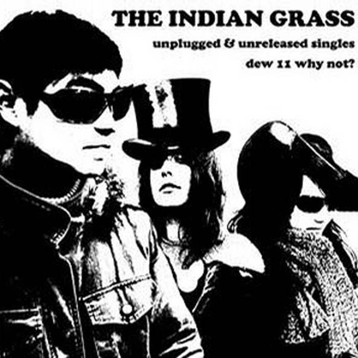 Unplugged&Unreleased Singles(digital only) | The Indian Grass | dew11