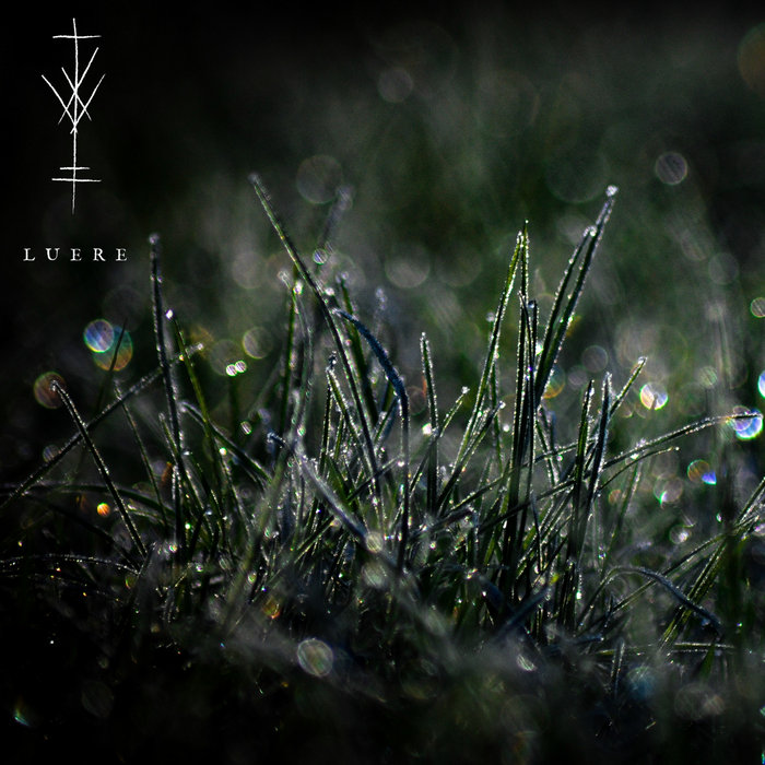 Summer Rains (single) | Luere