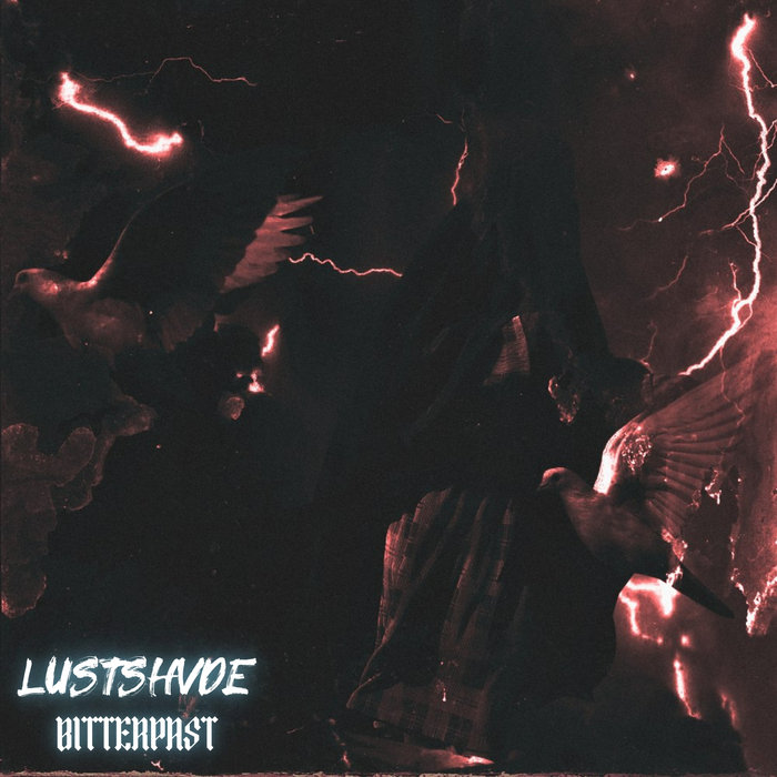 Bitter Past | LUSTSHVDE