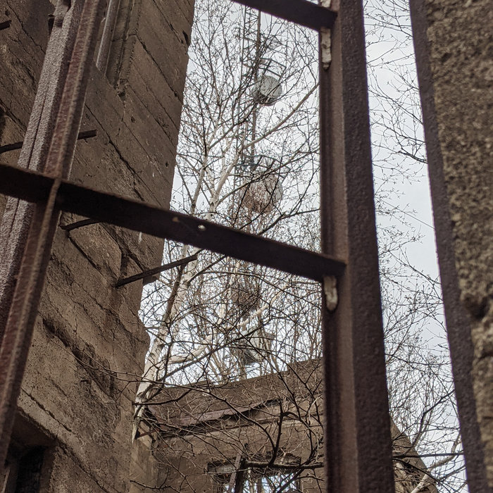 Transmutable | guinæpig