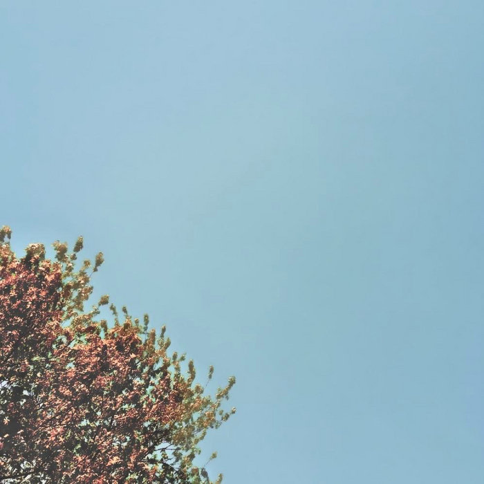 One More Day Like Today | paper tyger