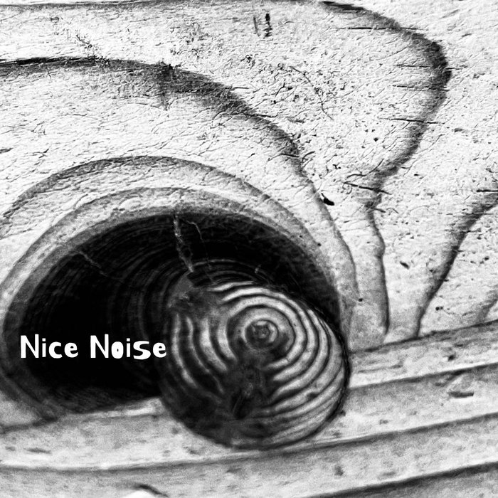 Nice Noise | Bellezze Rumori